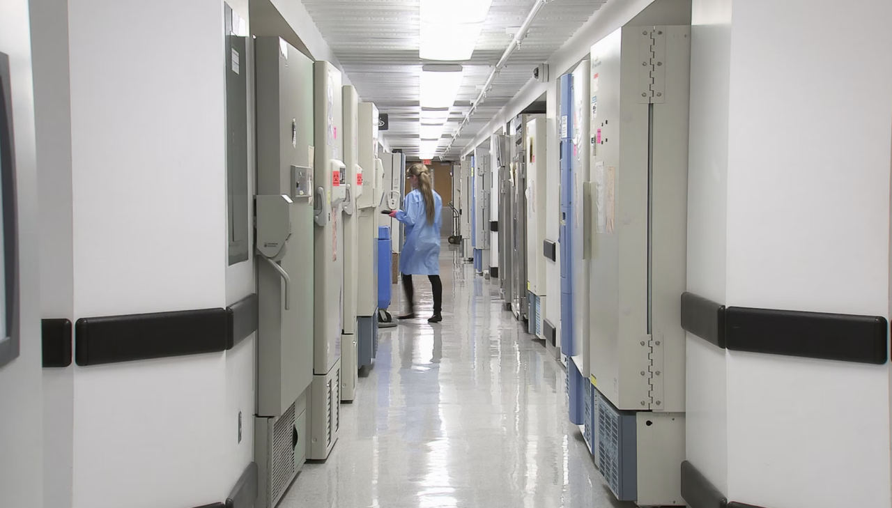 Hiring for EPIC Implementation in Hospitals: Tips for Building a Strong ...